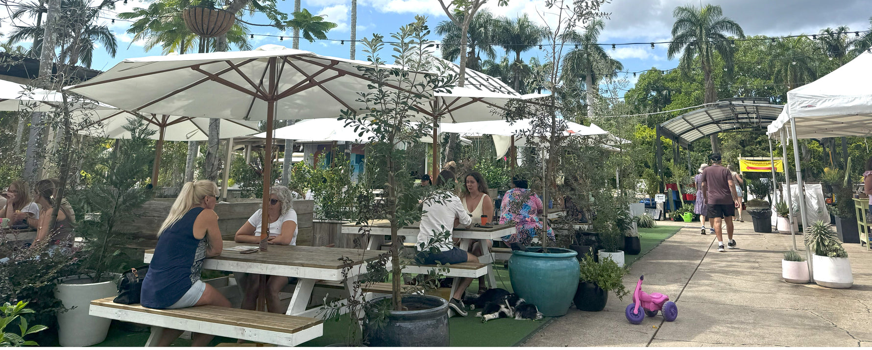 Nurso Nook Cafe – The Nurso